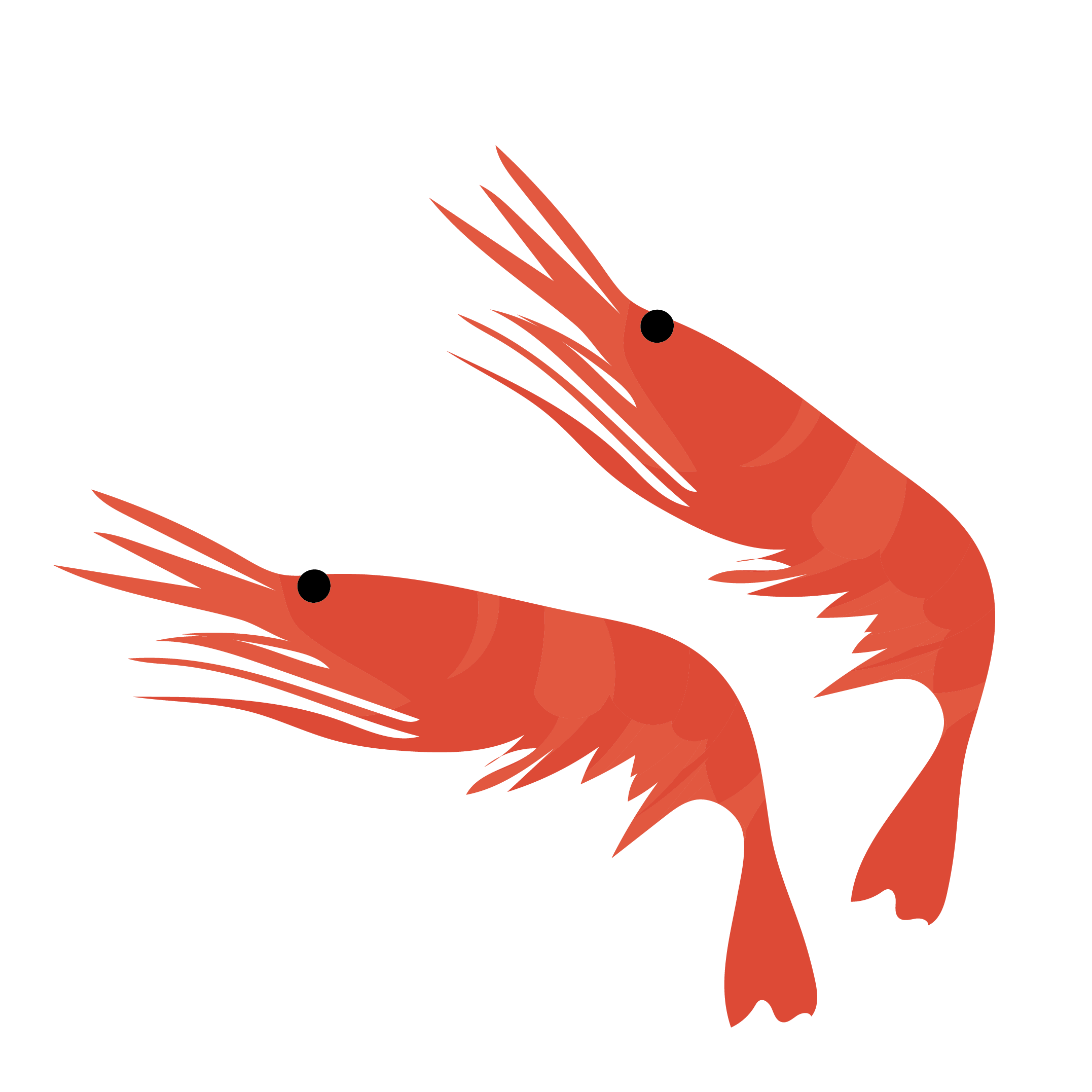 海老（えび）のイラスト | 商用フリー(無料)のイラスト素材なら「イラストマンション」