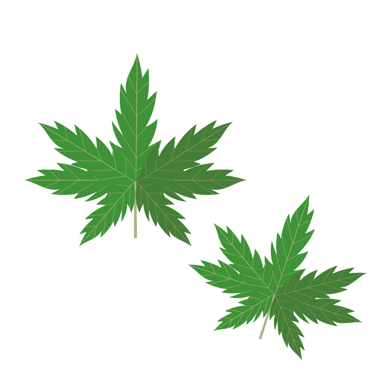 大麻・麻・マリファナ・ヘンプのイラスト 商用フリー無料のイラスト素材なら「イラストマンション」